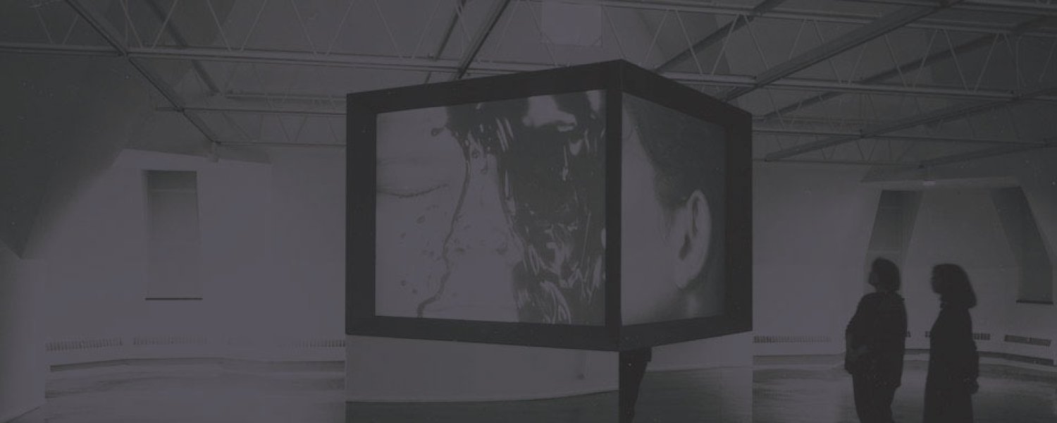 Great Gonzo: VIDEO CUBE