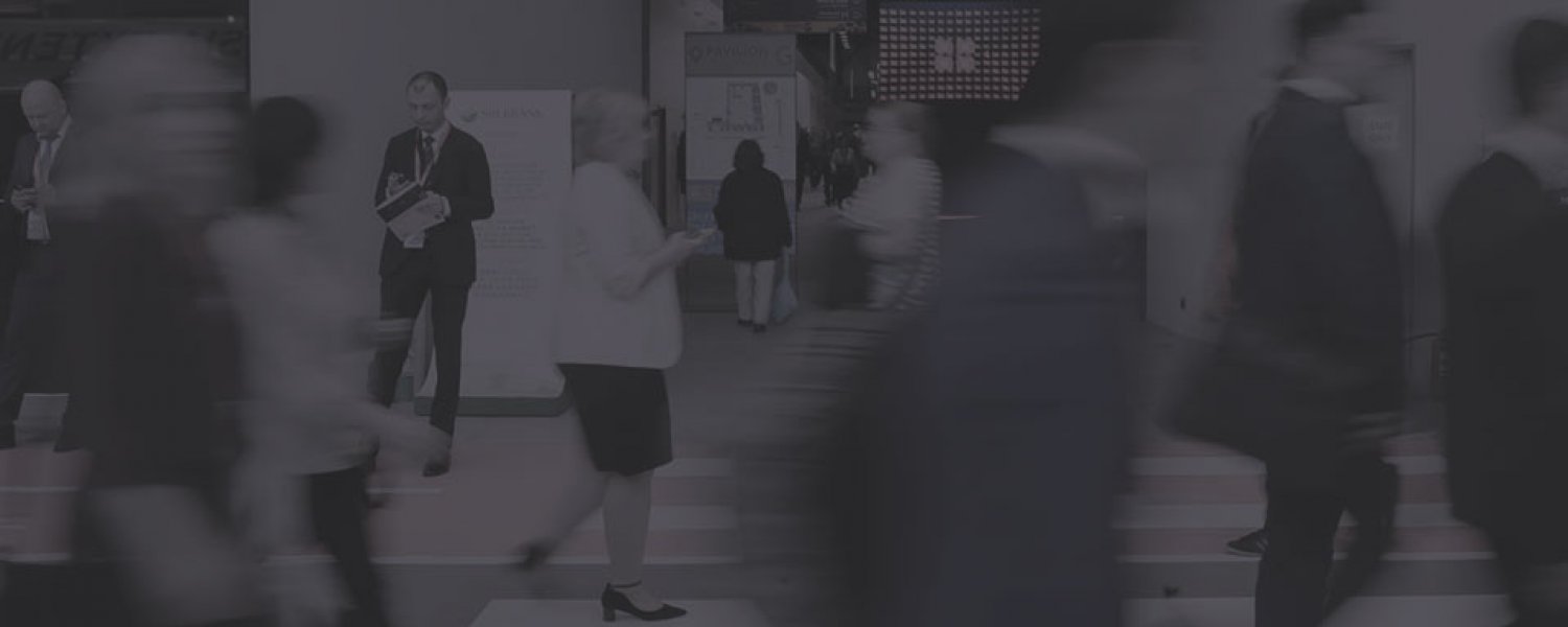 Great Gonzo: NAVIGATION SYSTEM